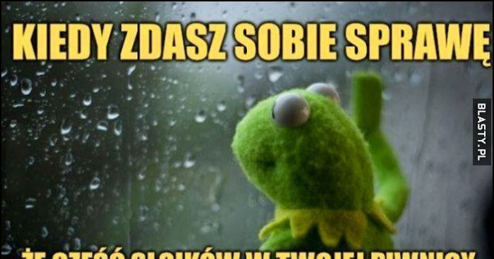 Kermit kiedy zdasz sobie sprawę, że część słoików w Twojej piwnicy jest ...