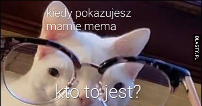 Kiedy pokazujesz mamie mema kot kto to jest, znasz go? memy, gify i ...