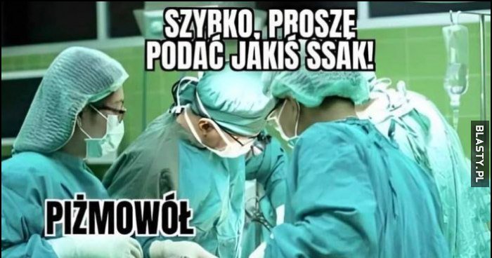 Na sali operacyjnej: szybko, proszę podać jakiś ssak. Piżmowół memy ...