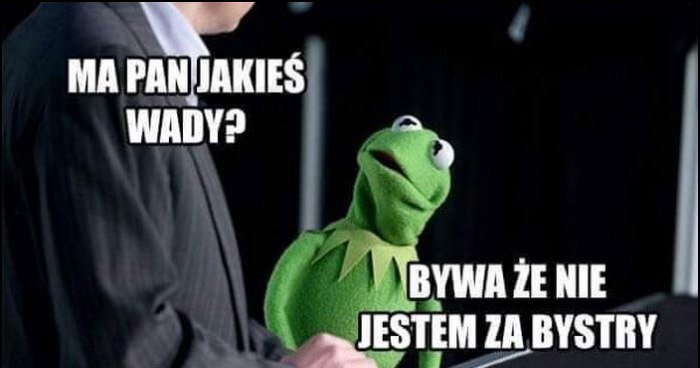 Kermit ma pan jakieś wady? Bywa, że nie jestem za bystry. Ok, jest pan ...