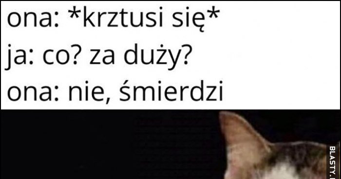 Ona: krztusi się, ja: co, za duży? Ona: nie śmierdzi. Smutny kot kotek ...