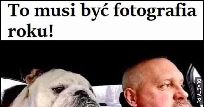 To musi być fotografia roku facet podobny do swojego psa memy, gify i ...