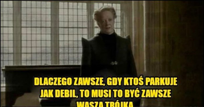 Dlatego zawsze gdy ktoś parkuje jak debil to musi to być zawsze wasza ...