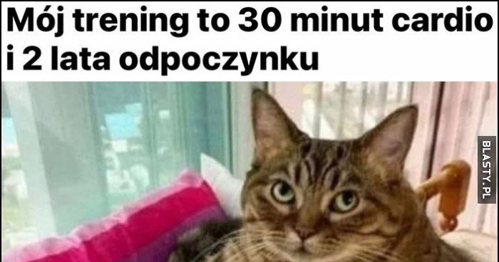 Gruby kot mój trening to 30 minut cardio i 2 lata odpoczynku ...