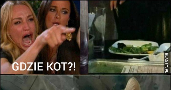 Mem kobieta pokazuje na kota, gdzie kot? Śpi w łóżeczku memy, gify i ...