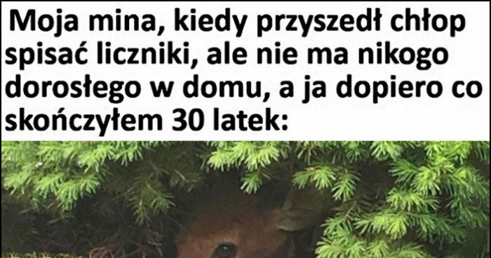 Moja mina, kiedy przyszedł chłop spisać liczniki, ale nie ma nikogo ...