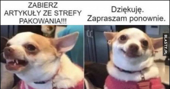 Pies piesek zabierz artykuł ze strefy pakowania, dziękuję zapraszam ...