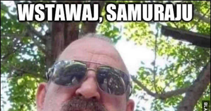 Wstawaj samuraju mamy trawnik do skoszenia typowy Janusz memy, gify i ...