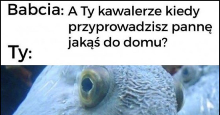 Babcia: a ty kawalerze kiedy przypowadzisz pannę jakąś do domu? Ty ...