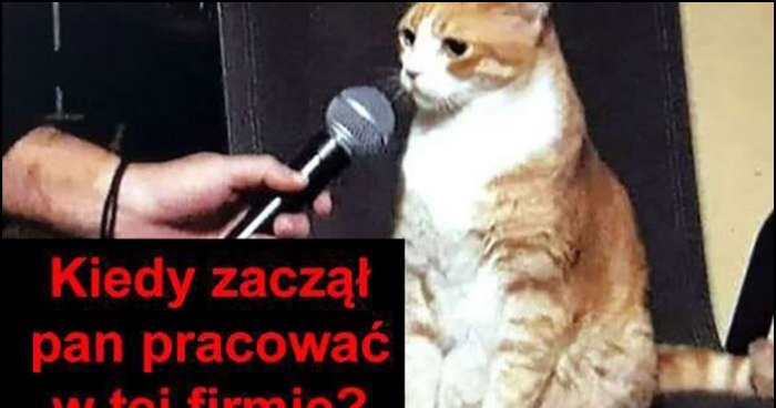 Kiedy zaczął pan pracować w tej firmie, jak mi zagrozili zwolnieniem ...