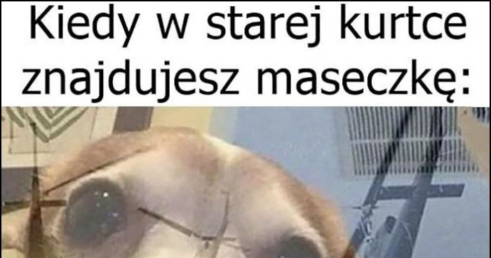 Pies piesek kiedy w starej kurtce znajdujesz maseczkę wspomnienie wojny ...