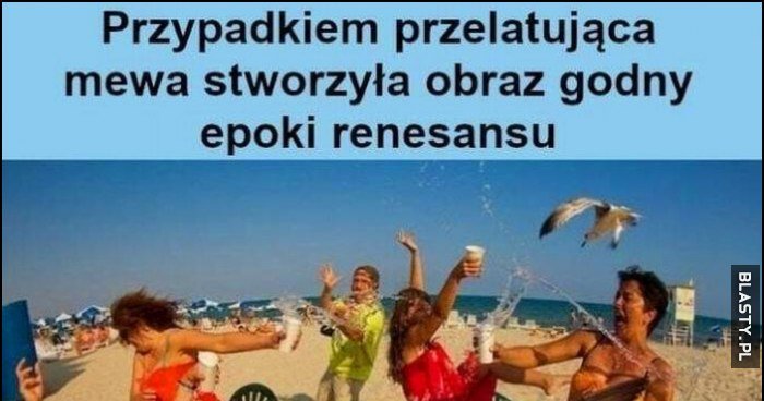 Przypadkiem przelatująca mewa stworzyła obraz godny epoki renesansu ...