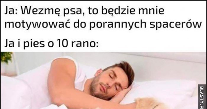 Ja: wezmę psa to będzie mnie motywować do porannych spacerów, ja i pies ...
