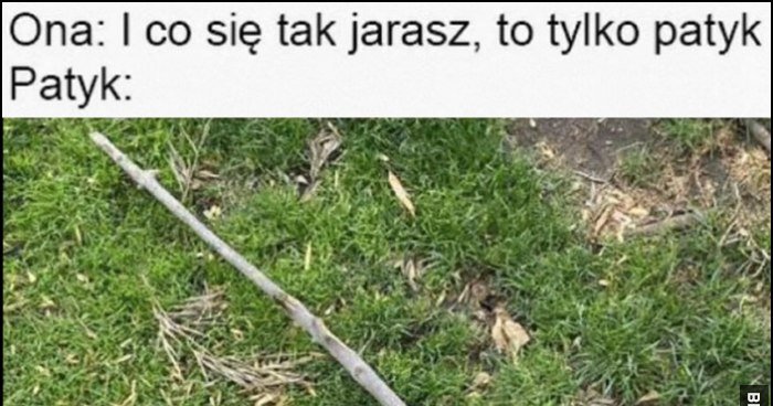 Ona: i co się tak jarasz, to tylko patyk, tymczasem patyk wygląda jak ...