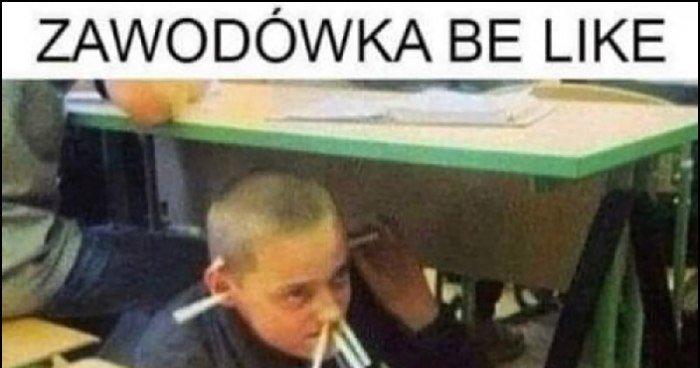 Zawodówka be like: no i dobrze przynajmniej będę miał fach w ręku ...