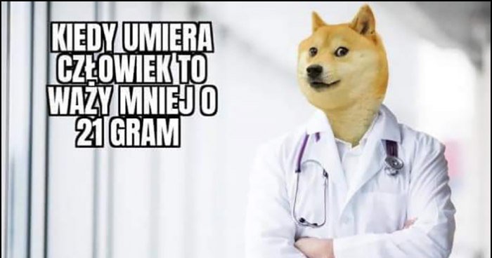 Lekarz: kiedy umiera człowiek to waży mniej o 21 gram, policjant: kiedy ...