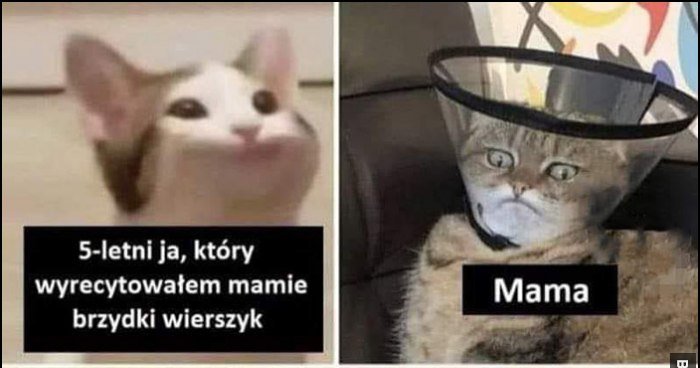 Kot kotek 5-letni ja który wyrecytowałem mamie brzydki wierszyk, mama ...