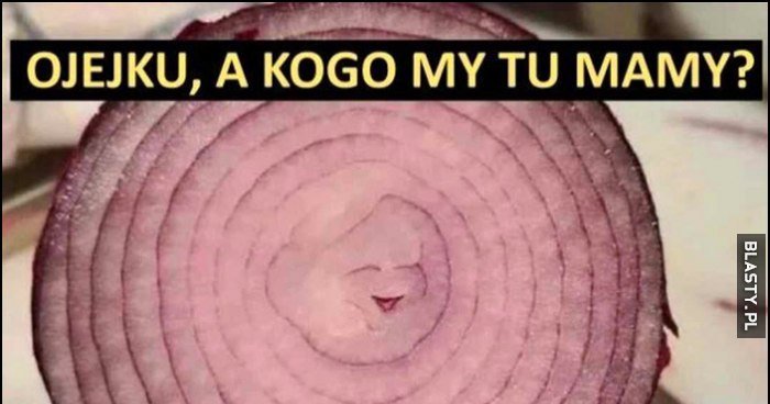 Cebula ojejku, a kogo my tu mamy? Jeszcze jedną bekse z nożem memy ...