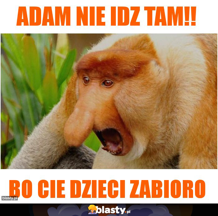 ADAM NIE IDZ TAM!! memy, gify i śmieszne obrazki facebook, tapety ...
