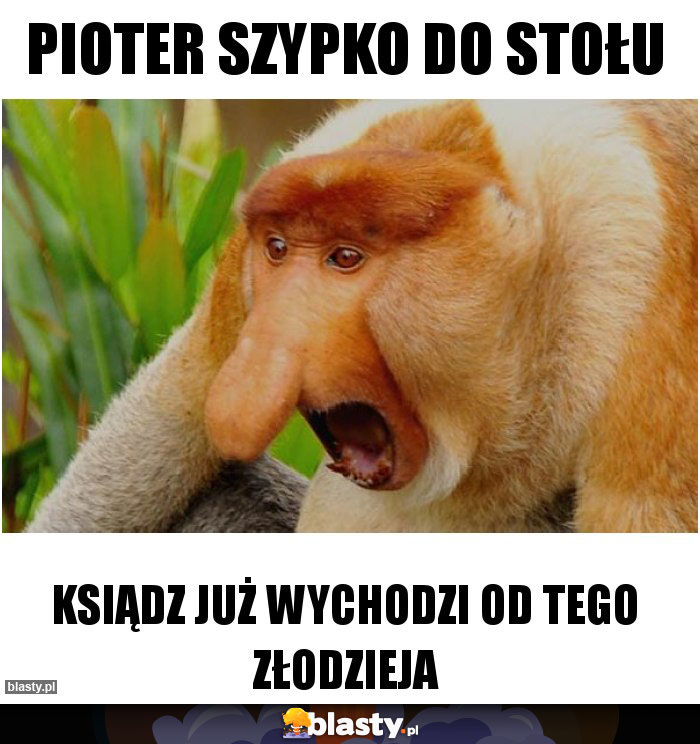 Pioter szypko do stołu memy, gify i śmieszne obrazki facebook, tapety ...