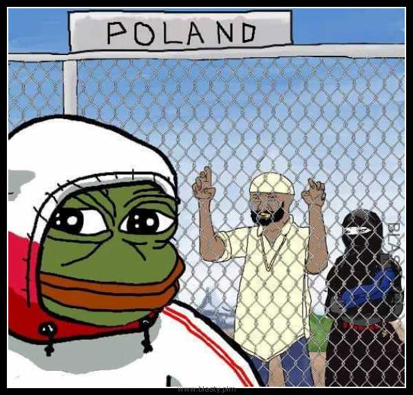 zaba bardzo śmieszne memy i demotywatory facebook zaba zabawne obrazki ...