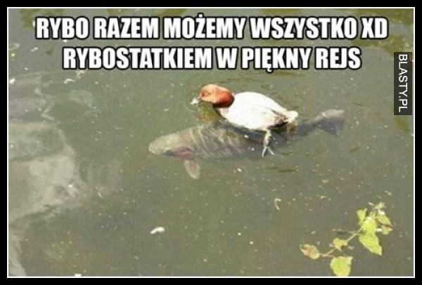 ryba bardzo śmieszne memy i demotywatory facebook ryba zabawne obrazki ...